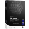 Pulse | 150+ Visual Templates | After Effects & Premiere Pro – SonduckFilm