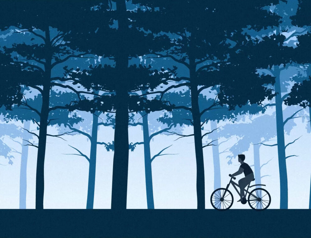 4 Vertical Video Motion Graphics in After Effects – SonduckFilm